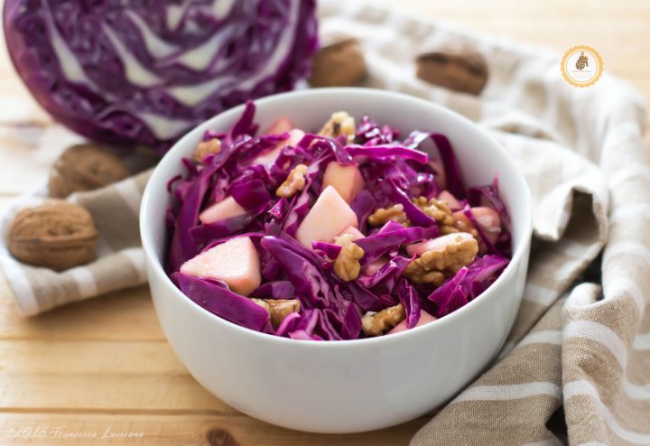 CABBAGE, ONION, TOMATO AND CHEESE — Plone site